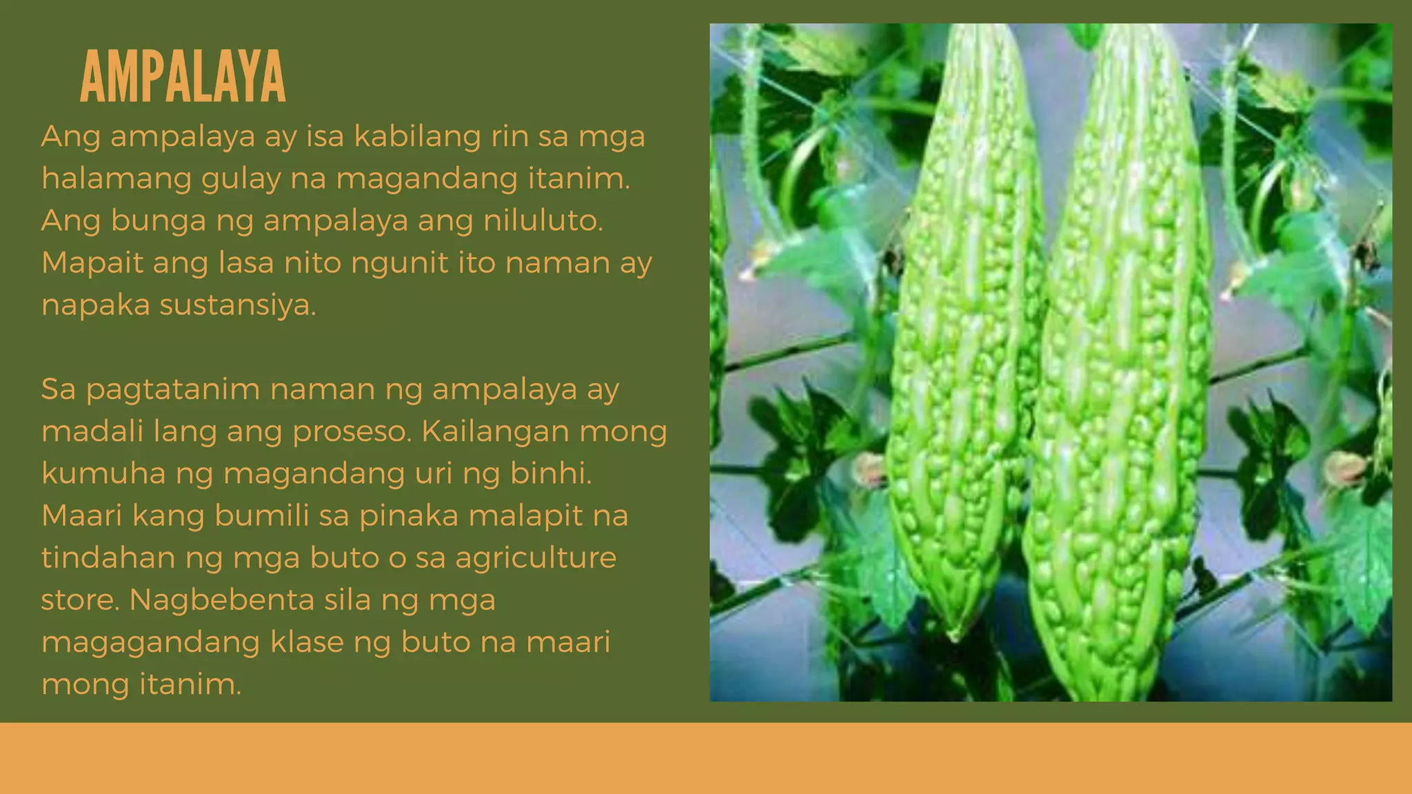 Pagtatanim ng gulay.pptx