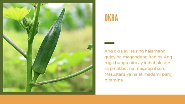 Pagtatanim ng gulay.pptx