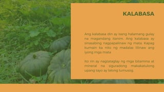 Pagtatanim ng gulay.pptx