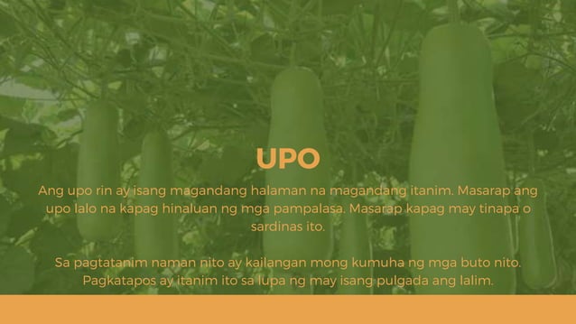 Pagtatanim ng gulay.pptx