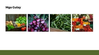 Pagtatanim ng gulay.pptx