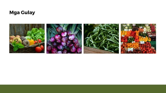 Pagtatanim ng gulay.pptx