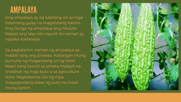 Pagtatanim ng gulay.pptx