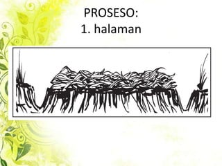 Pagtatanim sa sako | PPTX
