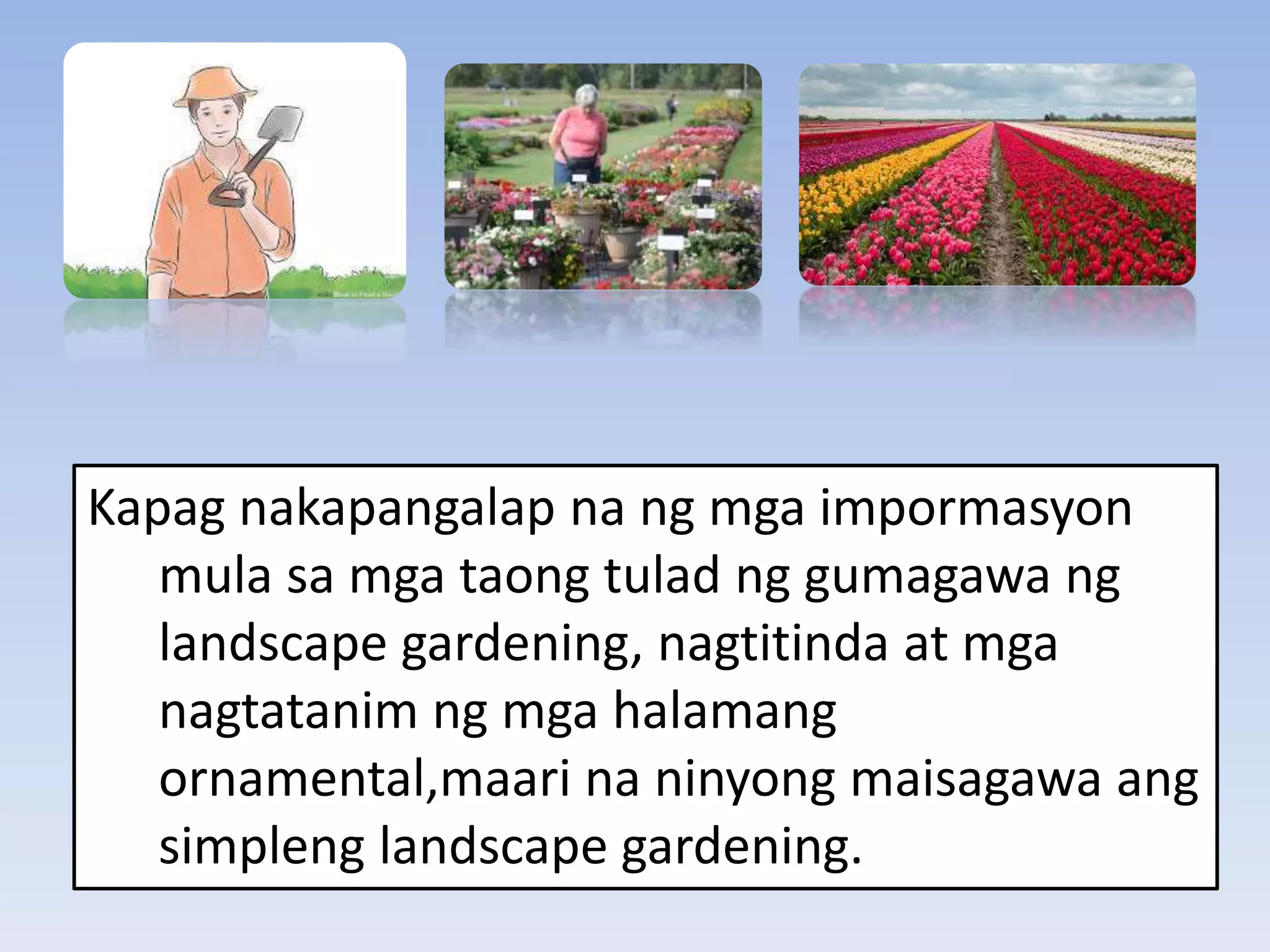 Pagtukoy ng mga halamang ornamental ayonsa pangangailangan. | PPTX