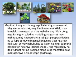 Pagtukoy ng mga halamang ornamental ayonsa pangangailangan. | PPTX