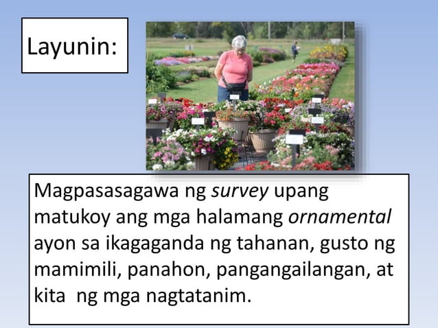 Pagtukoy ng mga halamang ornamental ayonsa pangangailangan. | PPTX
