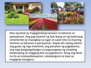 Pagtukoy ng mga halamang ornamental ayonsa pangangailangan. | PPTX