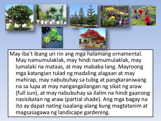 Pagtukoy ng mga halamang ornamental ayonsa pangangailangan.