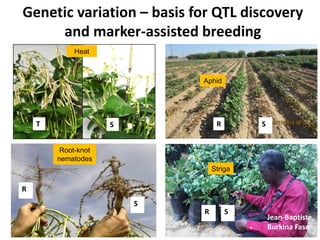 PAG XXII 2014 – Genomic resources applied to marker-assisted breeding ...