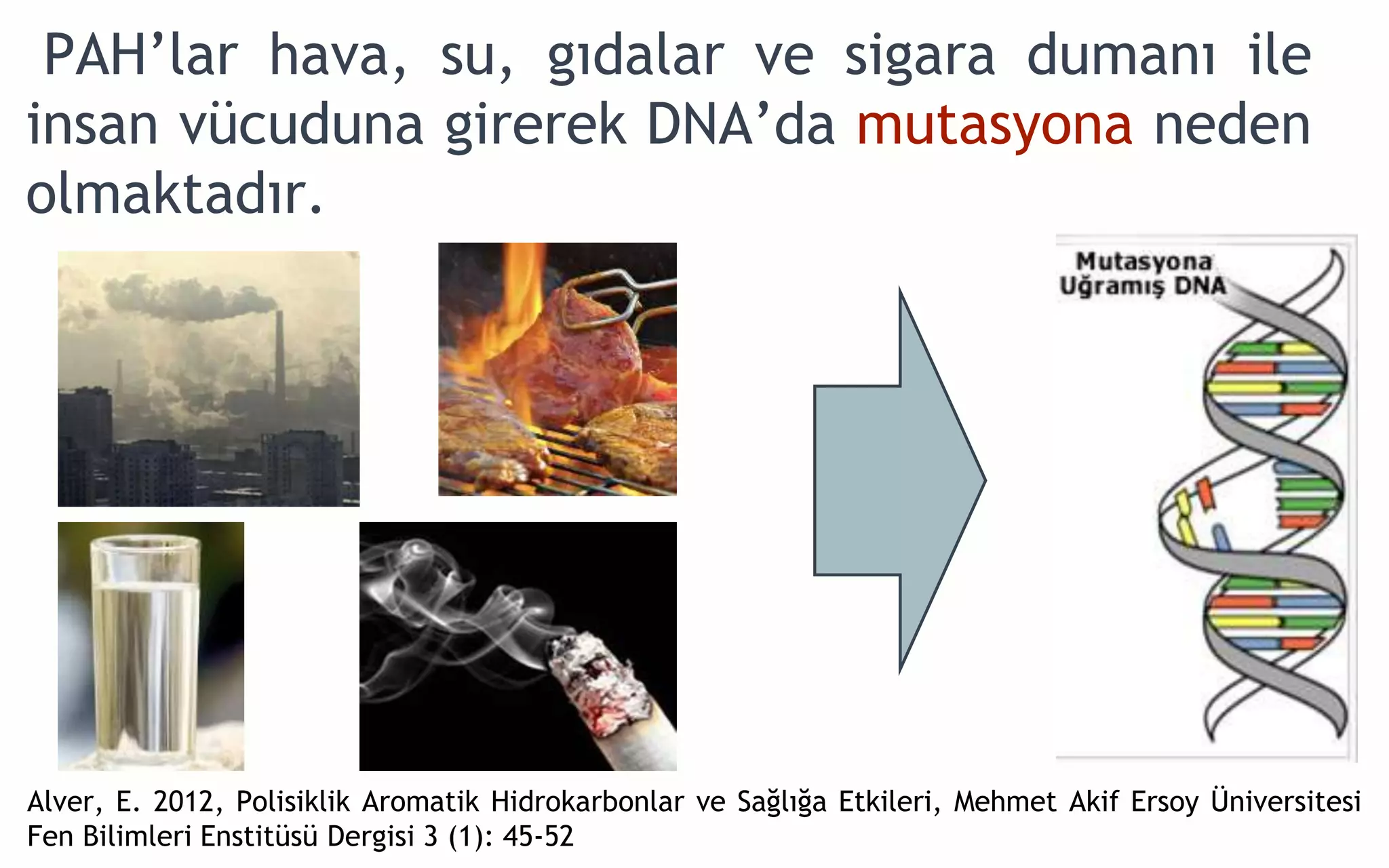 PAH-Polisiklik Aromatik Hidrokarbonlar | PPTX