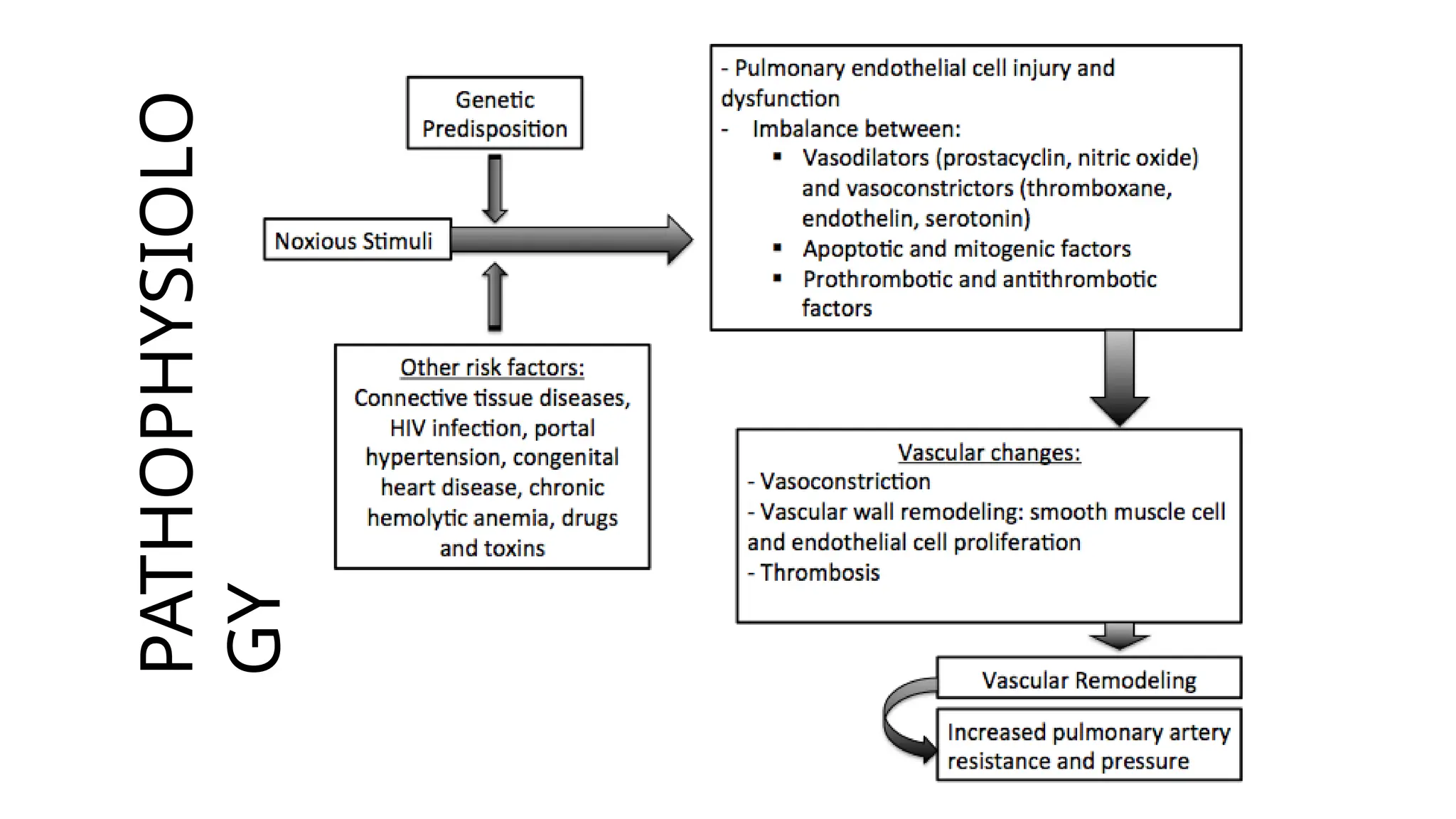 PAH (pulmonary artery hypertension ) pah | PPT
