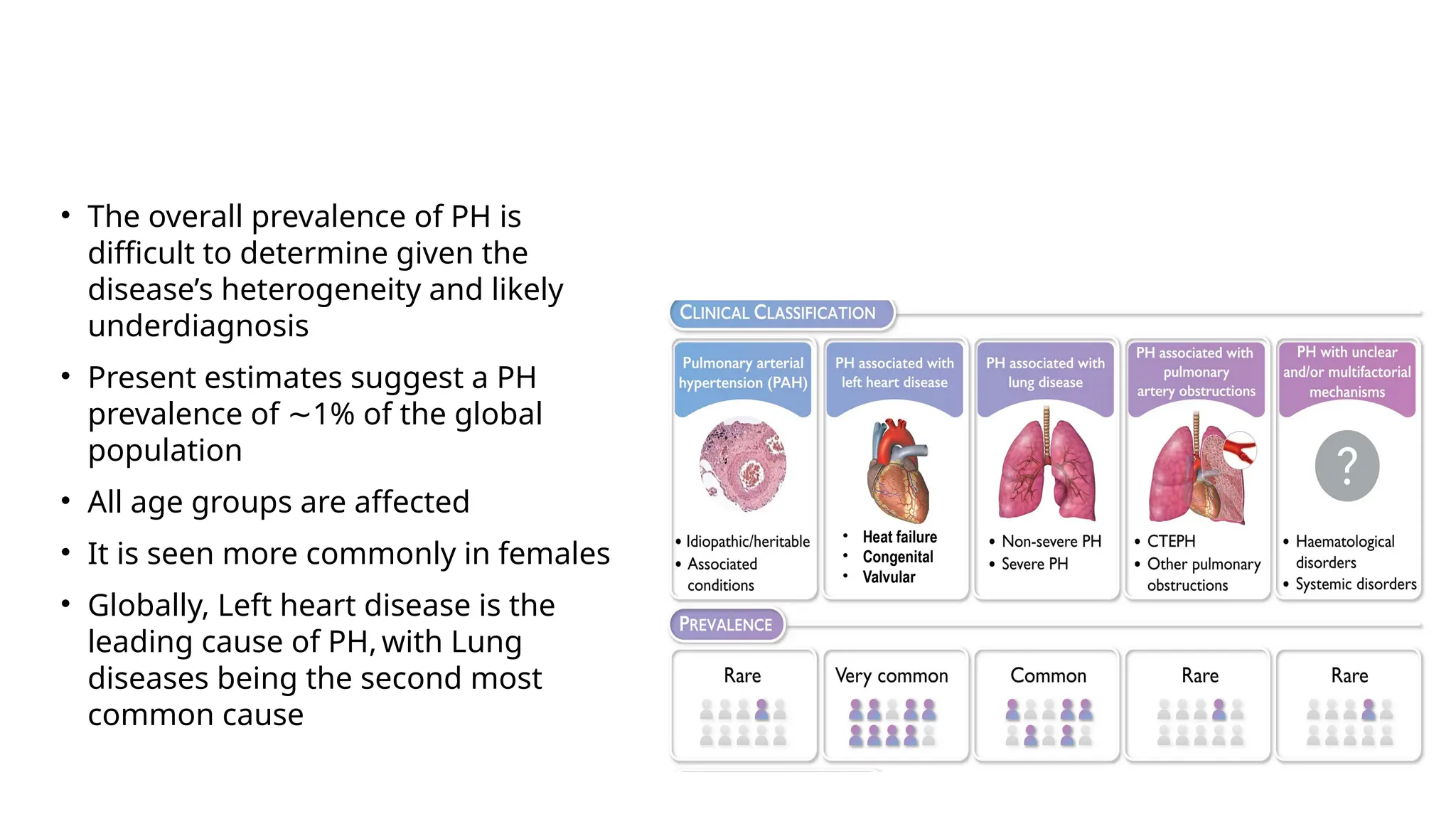 PAH (pulmonary artery hypertension ) pah | PPT