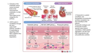 PAH (pulmonary artery hypertension ) pah | PPT