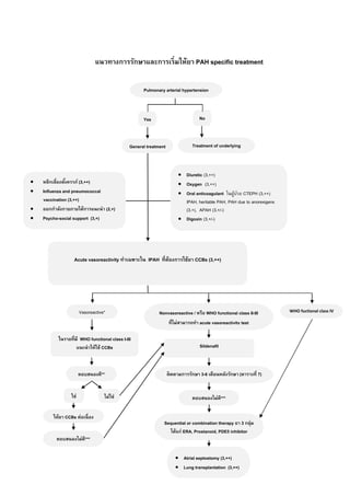 Pah guideline 2013 | PDF