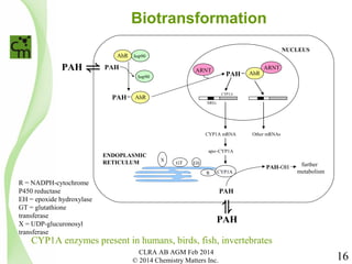 Future of PAH Monitoring Post Oil Spills | PPT