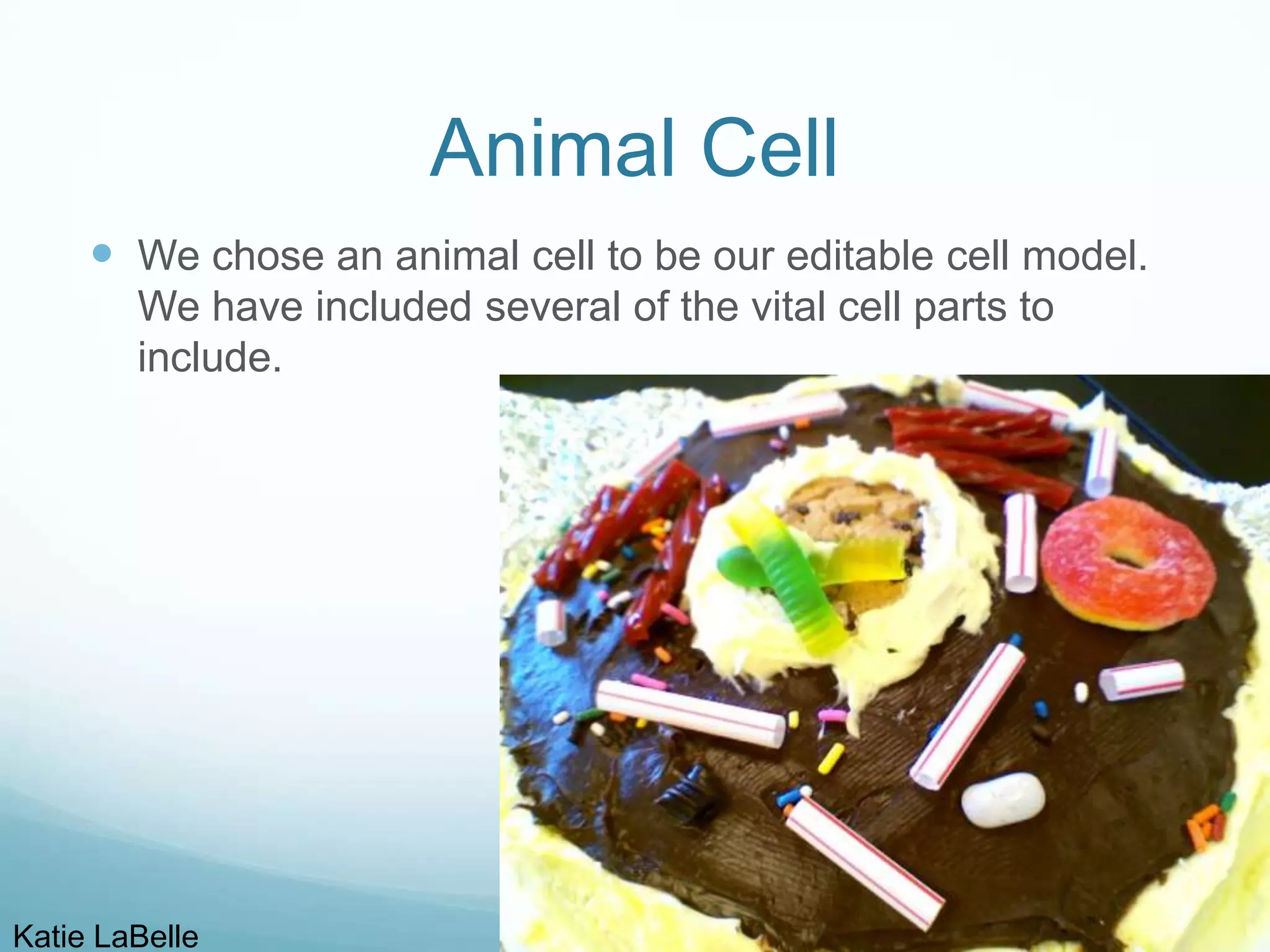 Pahsflamingturtleseditableanimalcellmodel | PPTX