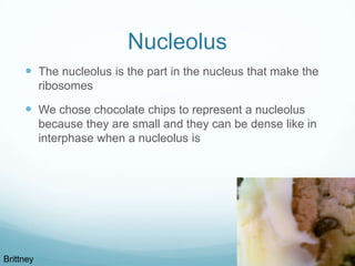 Pahsflamingturtleseditableanimalcellmodel | PPTX