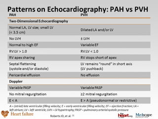 Pah vs pvh | PPT