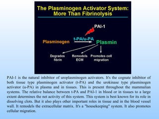 Pai 1 inhibitors | PPT