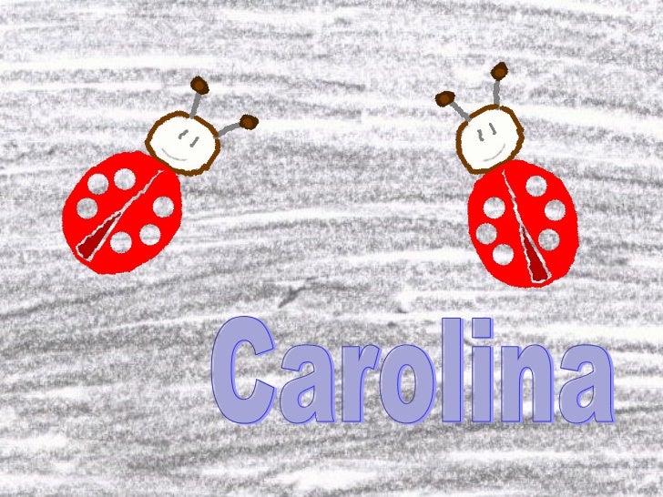 Pai Carolina S5