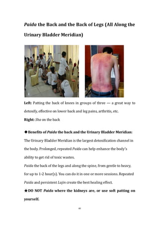 Paida lajin self healing | PDF