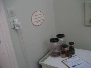 Paidiko mouseio | PPT