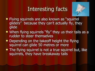 Paige entwistlie flying squirrel | PPT