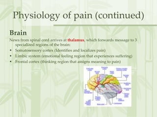 Pain | PPT