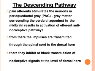 Pain anatomy and physiology | PPTX