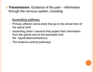 Pain anatomy and physiology | PPTX