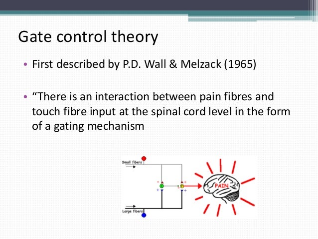 Gate Control Mechanism Of Pain