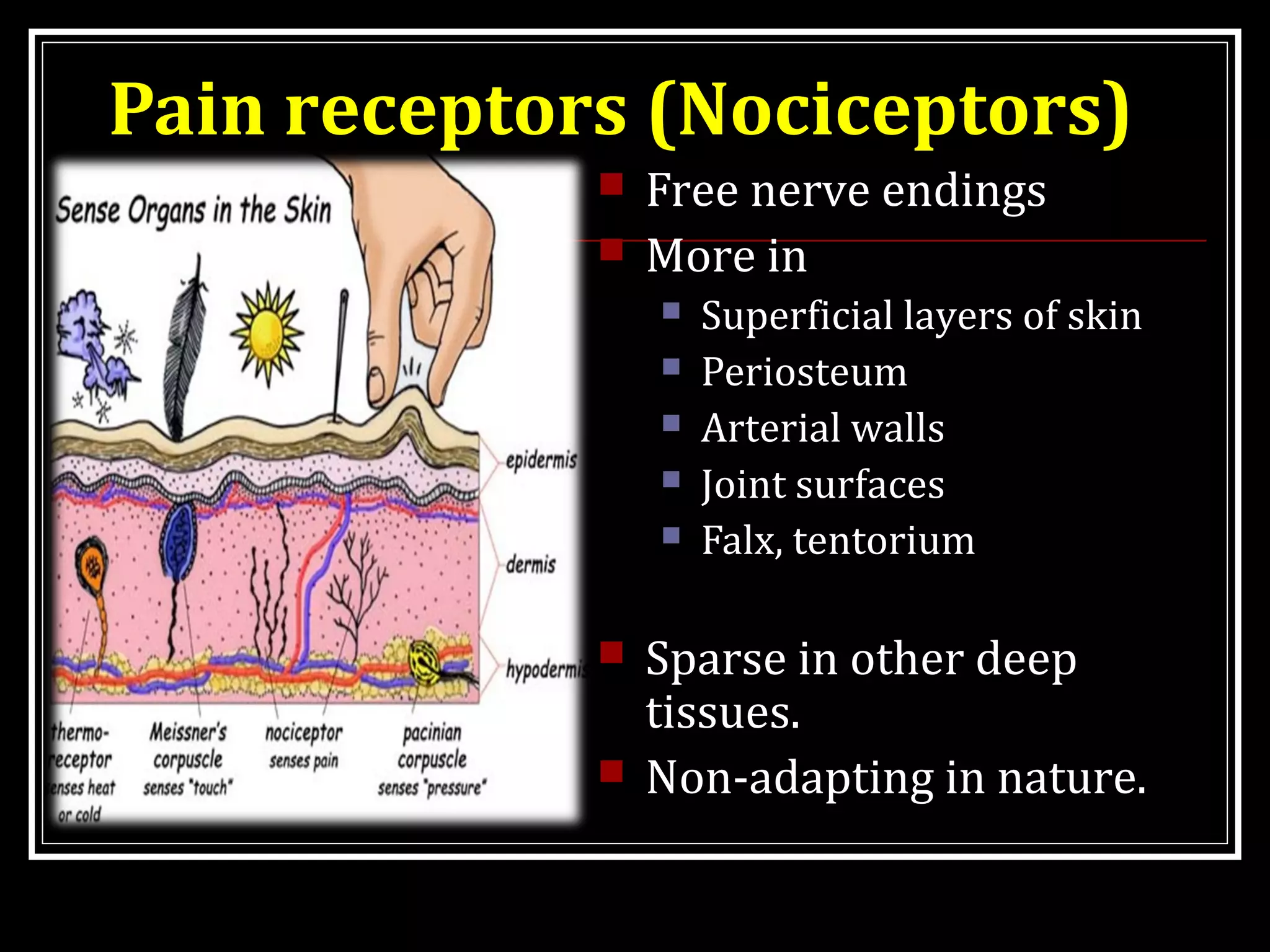 PHYSIOLOGY OF PAIN SENSATION | PPT