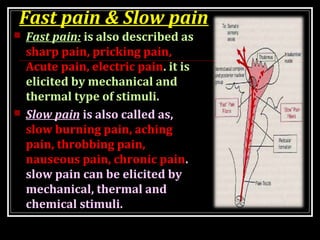 PHYSIOLOGY OF PAIN SENSATION | PPT