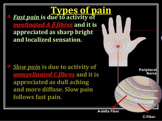 PHYSIOLOGY OF PAIN SENSATION