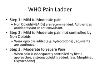 Pain therapy and clinical aspects | PPT