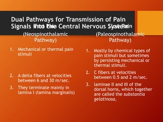 Pain | PPTX