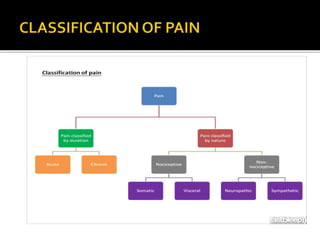 Pain | PPT
