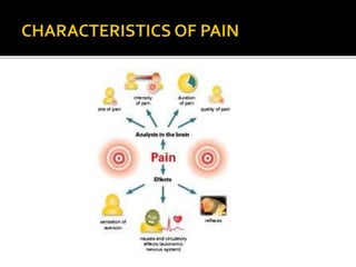 Pain | PPT