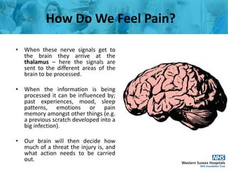 Pain | PDF