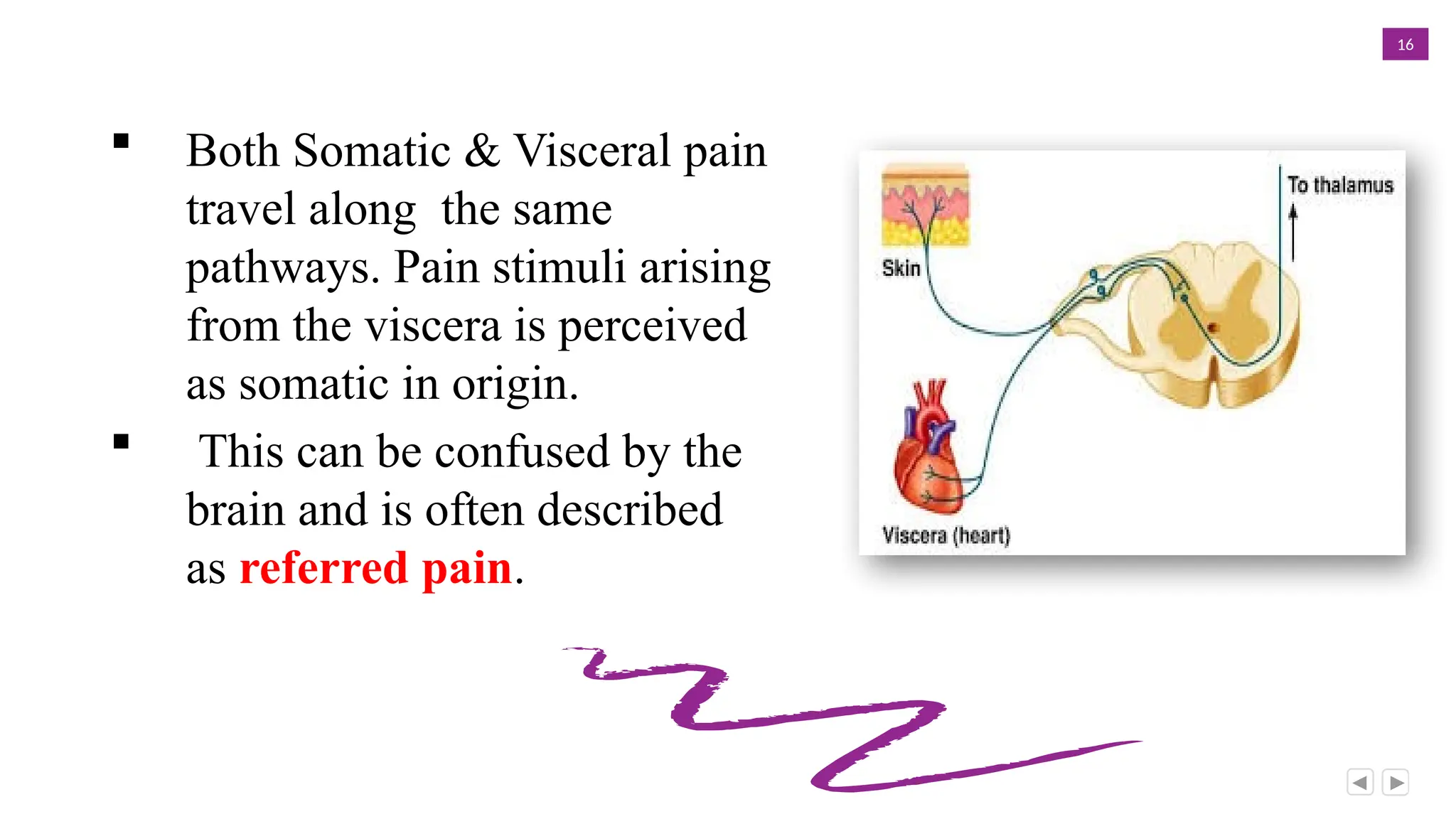 pain managements acute and chronic pains | PPTX
