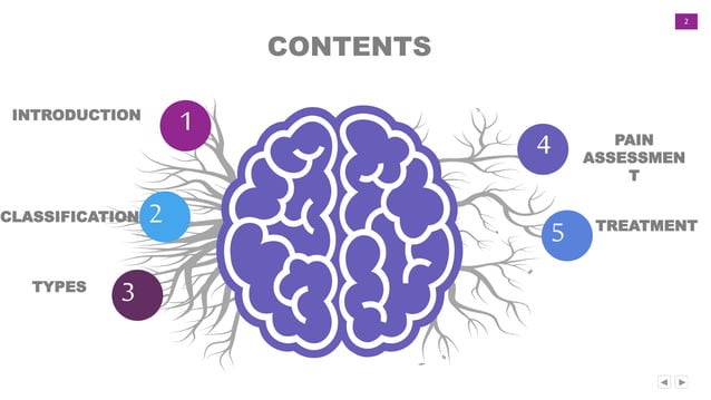Pain Management | PPTX