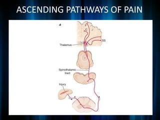 Pain multidisciplinary approach | PPTX