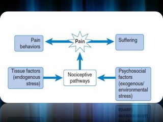 Pain multidisciplinary approach | PPTX