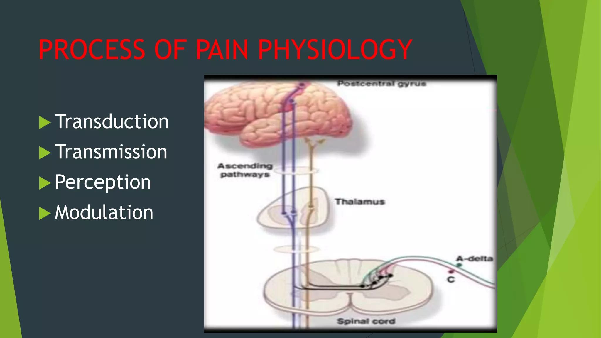 Pain definition, pathway,analgesic pathway, types of pain | PPTX