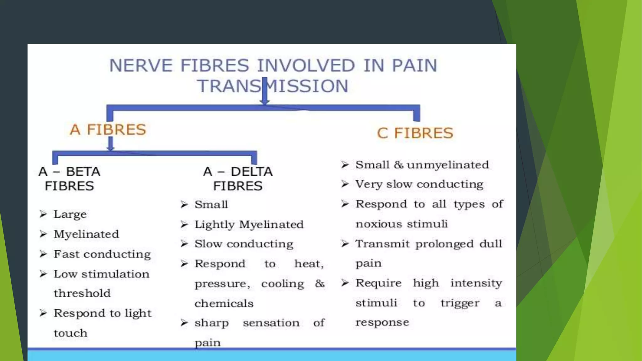 Pain definition, pathway,analgesic pathway, types of pain | PPTX