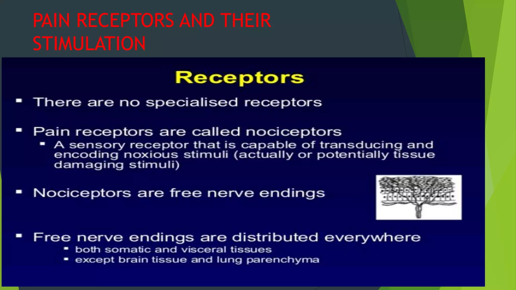Pain definition, pathway,analgesic pathway, types of pain | PPTX