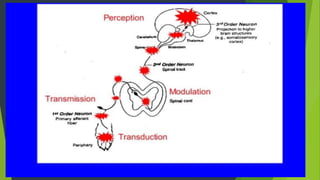 Pain definition, pathway,analgesic pathway, types of pain | PPTX