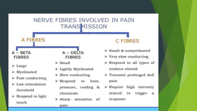 Pain definition, pathway,analgesic pathway, types of pain | PPTX