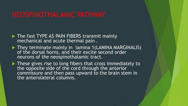 Pain definition, pathway,analgesic pathway, types of pain | PPTX